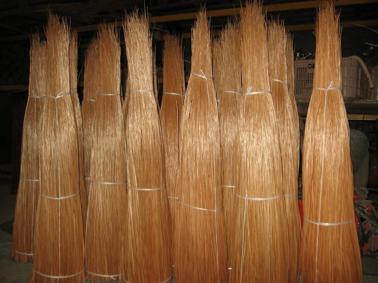 Osiers à tresser et à planter - PRODUCTEUR D'OSIER ET DE SAULE GIE ...